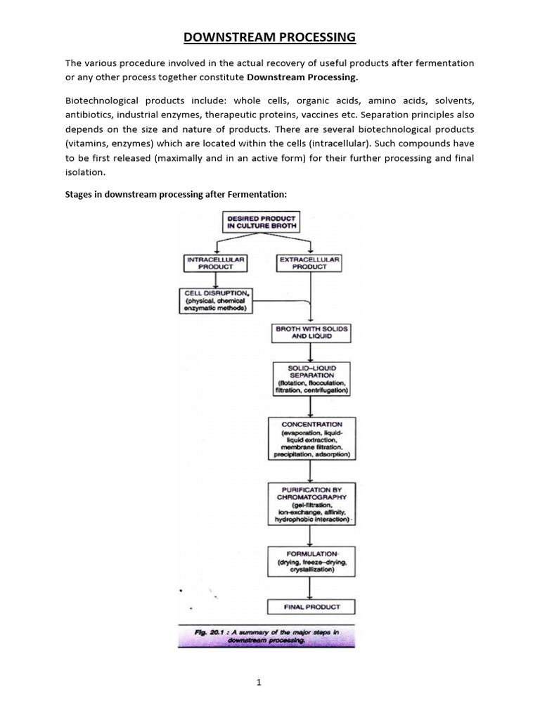 (Veena) Downstream Processing Notes | PDF