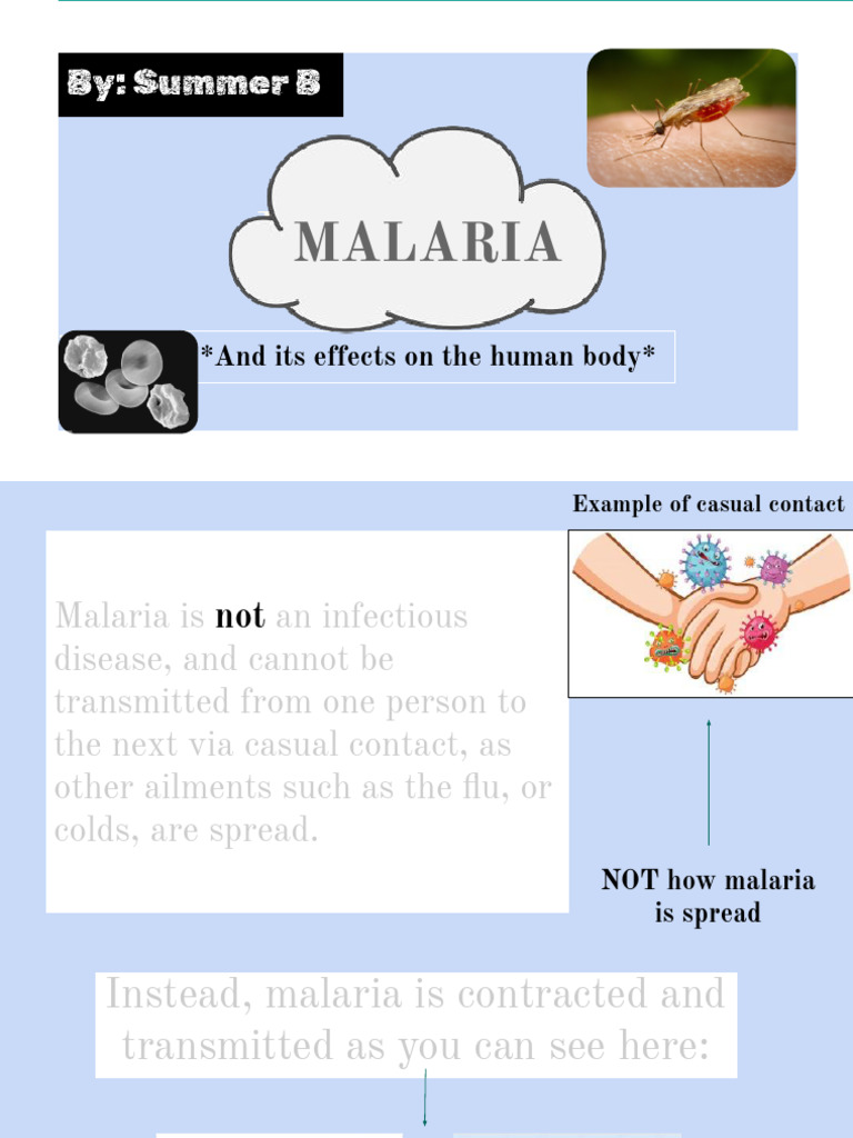 Summer's Science Project - Malaria - Human Organ Systems (Dec. 2022) | PDF