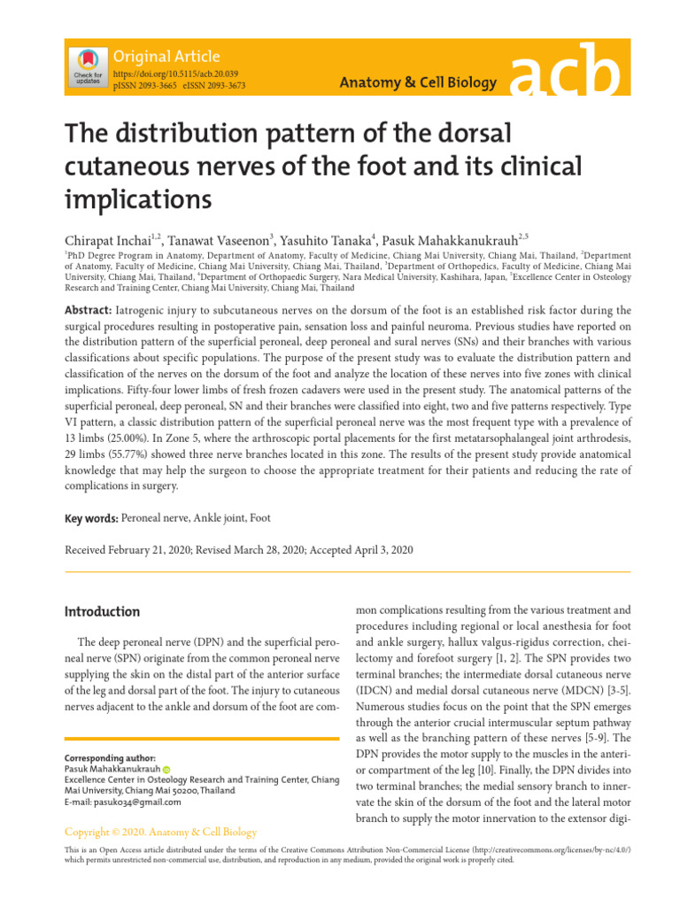 The Distribution Pattern of The Dorsal Cutaneous N | PDF