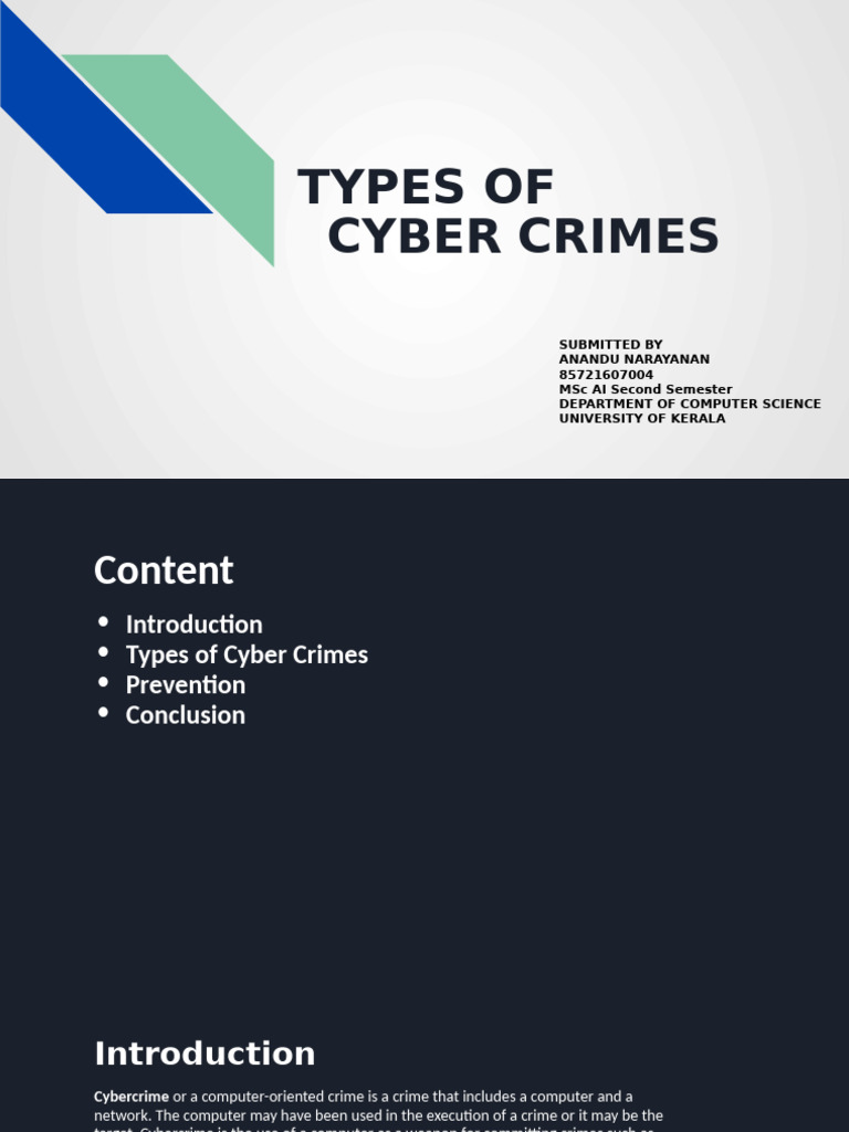 Cyber Crimes 1 | PDF