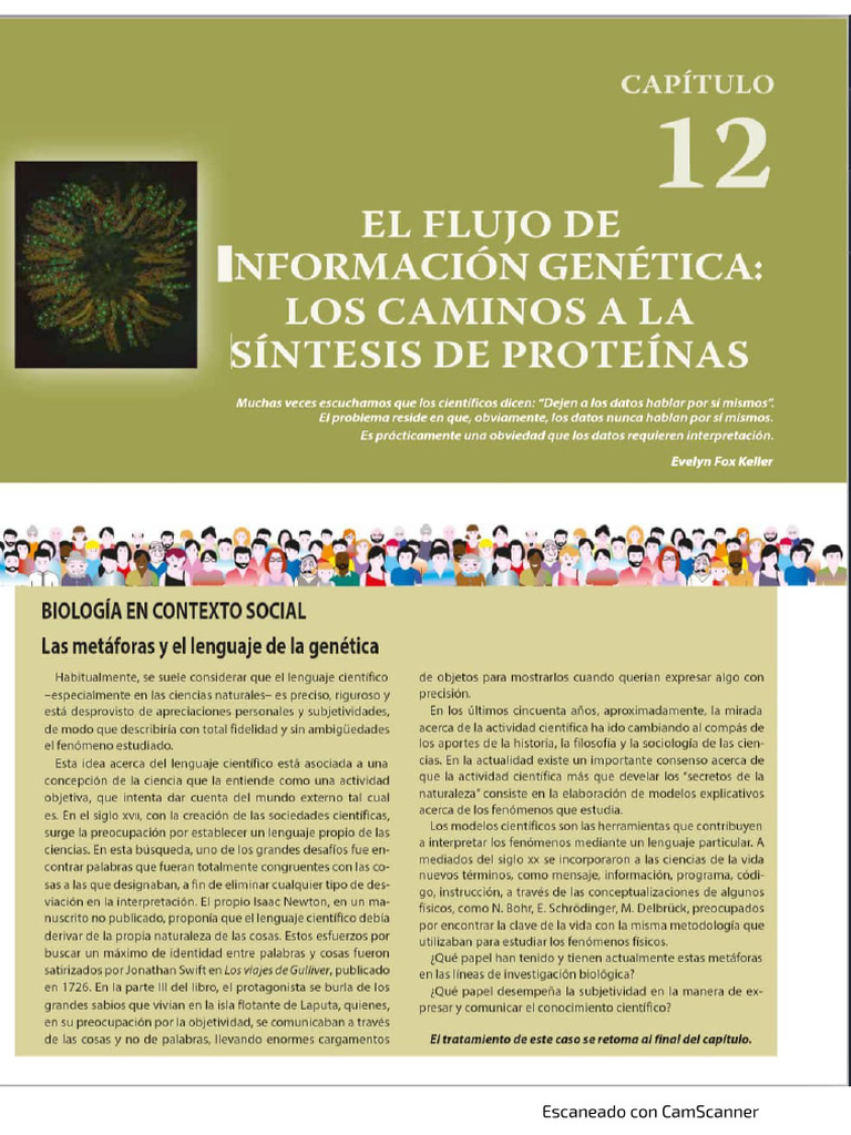 Capítulo 12 | PDF