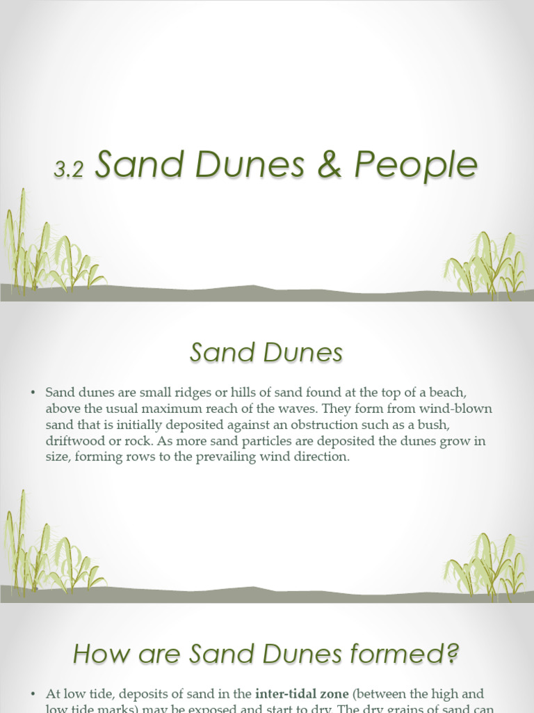3.2 Sand Dunes | PDF