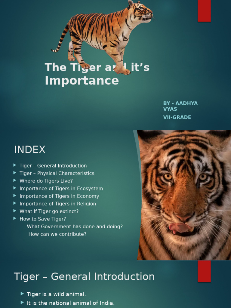 Aadhyavyas - VII - Powerpoint - Aadhya Vyas-V-c - 44 | PDF