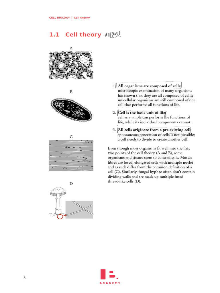 Prokaryotic & Eukaryotic Cell | PDF