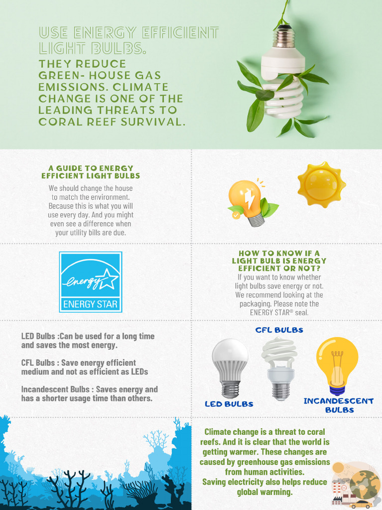 Energy Efficient Light Bulbs | PDF