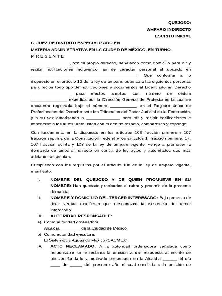 Amparo Indirecto | PDF