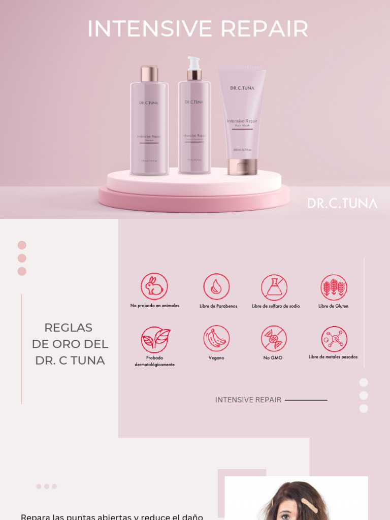 Presentación Intensive Repair | PDF