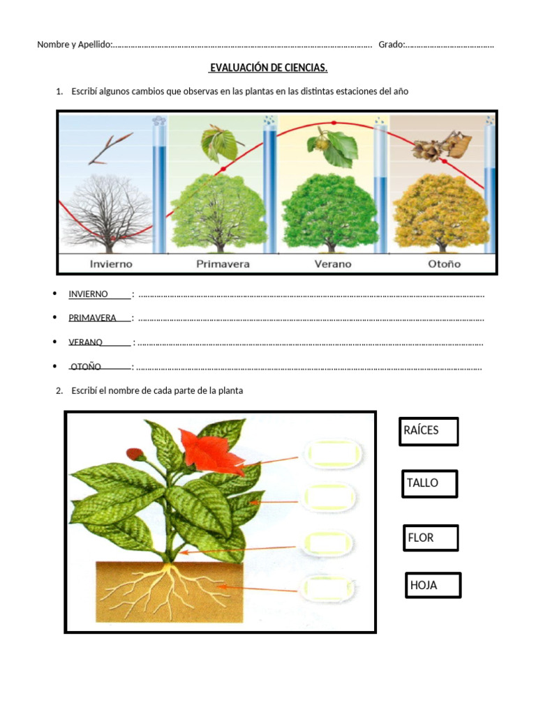 Cambios en Plantas por Estaciones y Partes | PDF | Estudios de idiomas ...