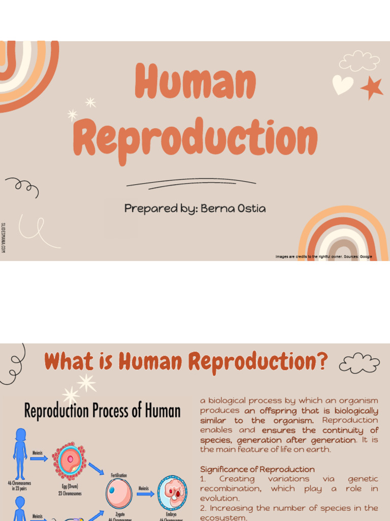 Human Reproduction | PDF