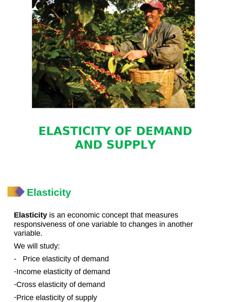 04 Elasticity | PDF