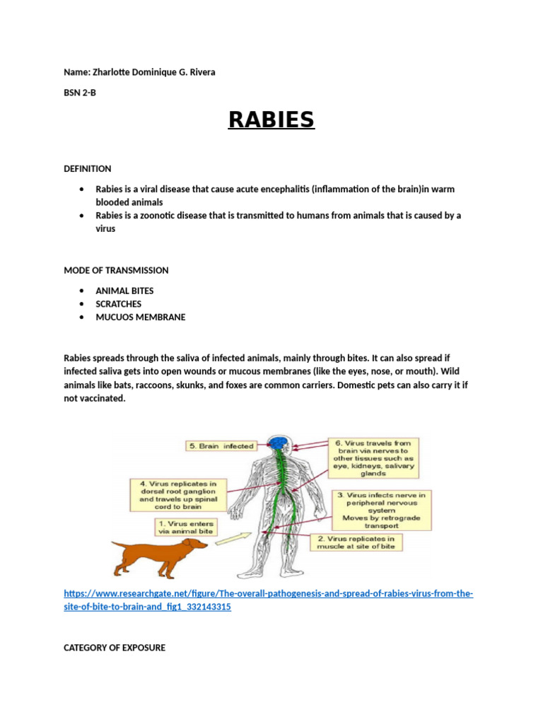 Rabies | PDF