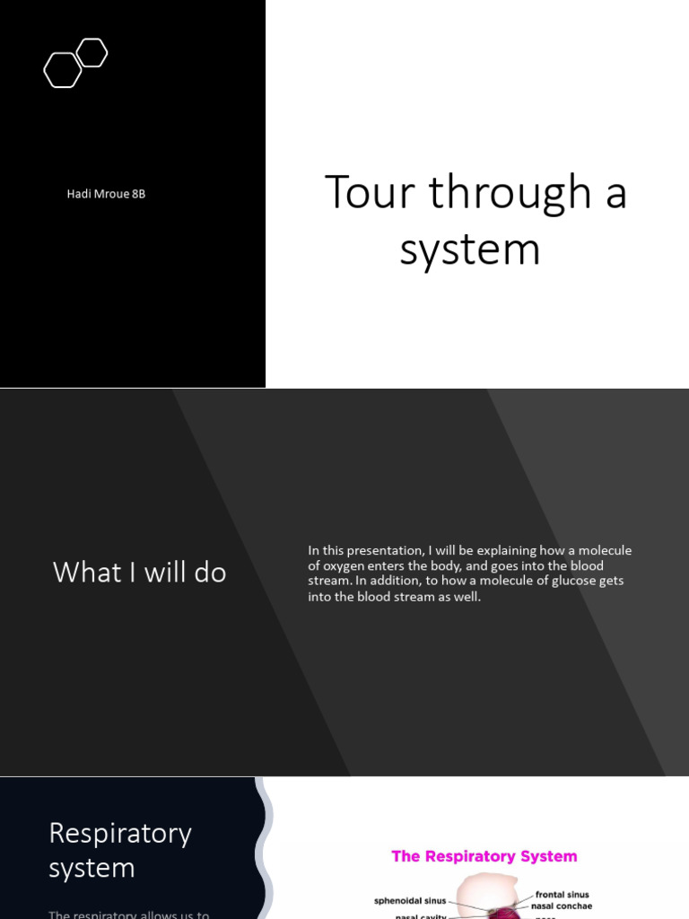 Through The Human Body | PDF