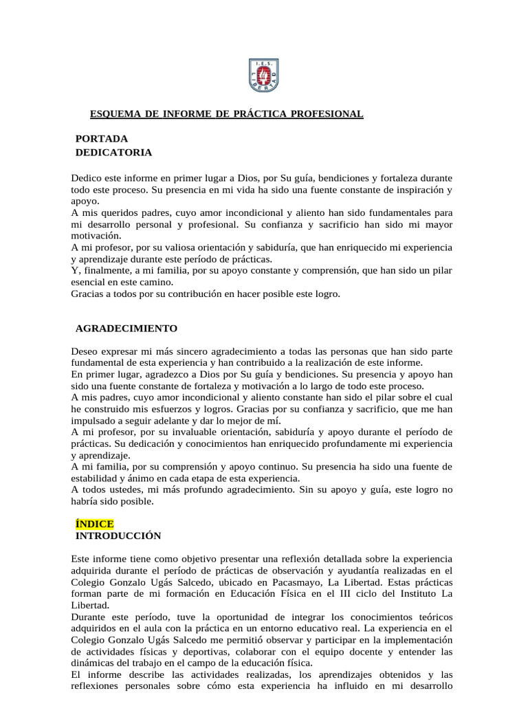Esquema de Informe de Práctica Profesional Final-2024 | PDF