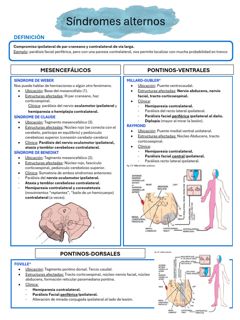 Síndromes Alternos | PDF