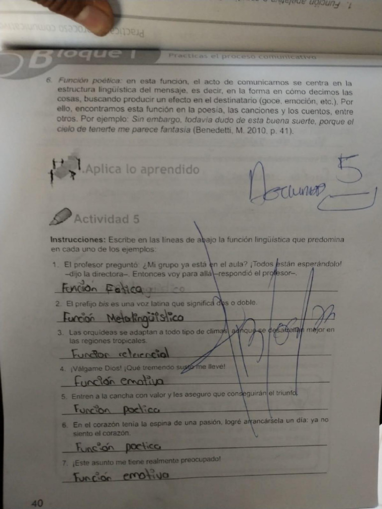 Actividad 5 Hmaa TLR Inicial B | PDF