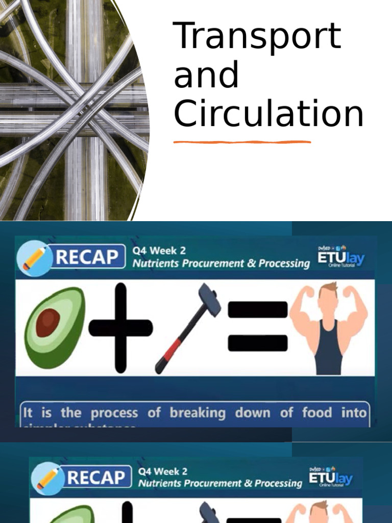 Transport and Circulation | PDF