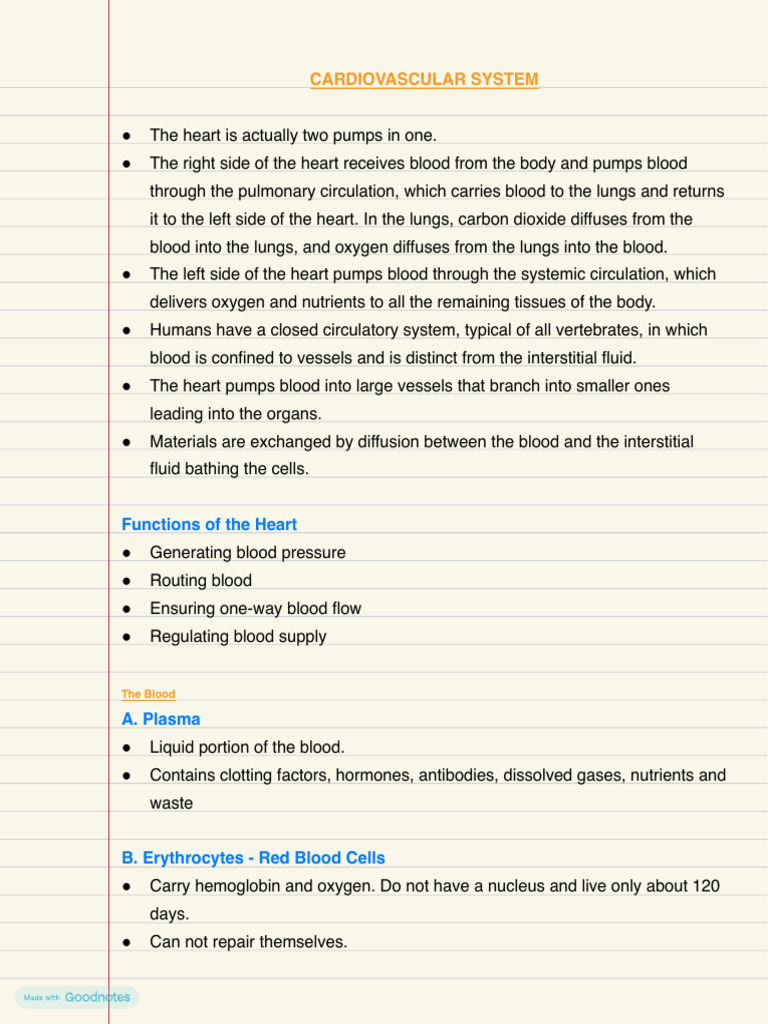 Cluster 4-Cardiovascular System | PDF