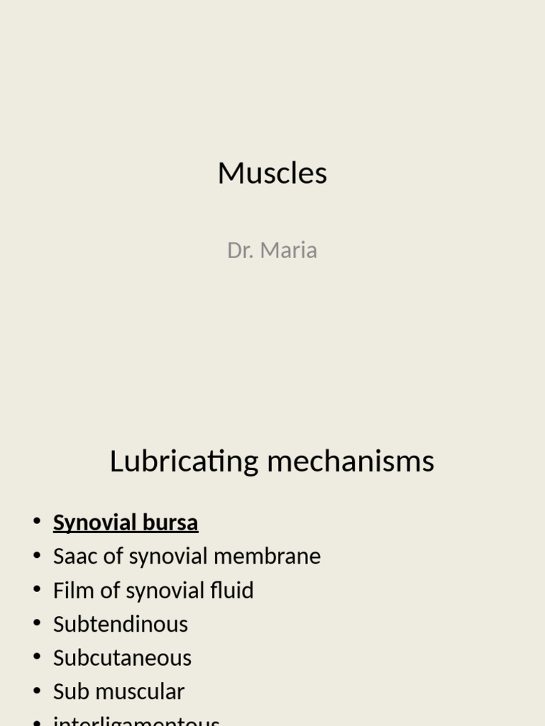 Anatomy Muscle Presentation | PDF | Muscle | Science & Mathematics