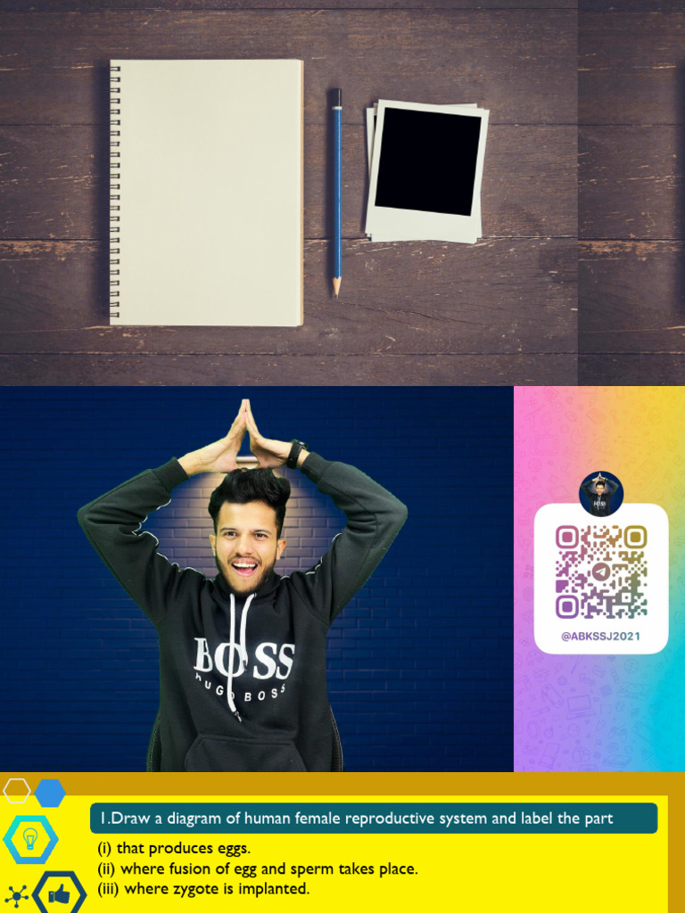 Diagram Based Questions Class 10 Science | PDF