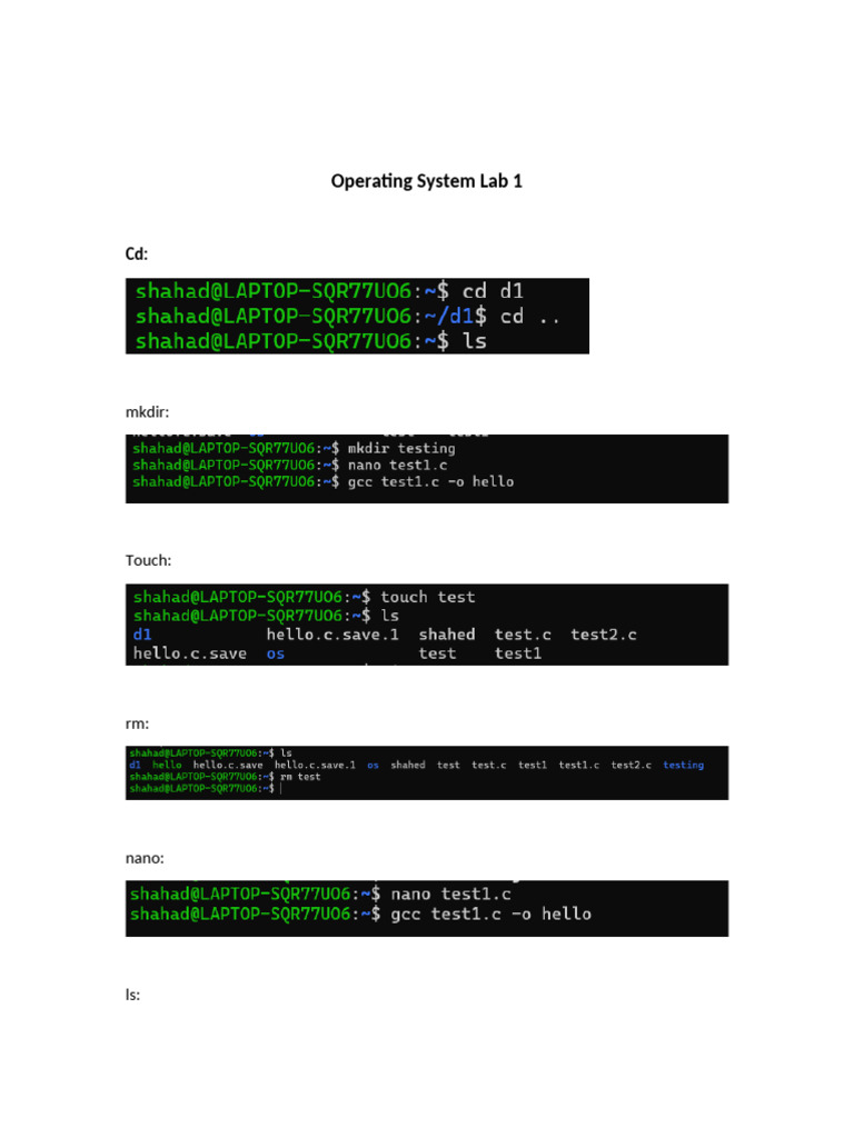 Operating System Lab 1 | PDF