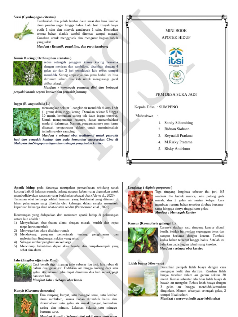 Apotek Hidup Pdf