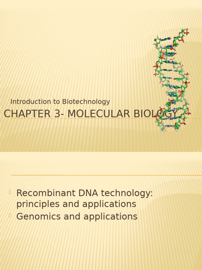 IB Chapter 3 - Molecular Biology | PDF | Plasmid | Dna