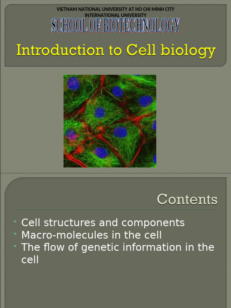 IB Chapter 2 - Cell Biology | PDF | Cell (Biology) | Rna