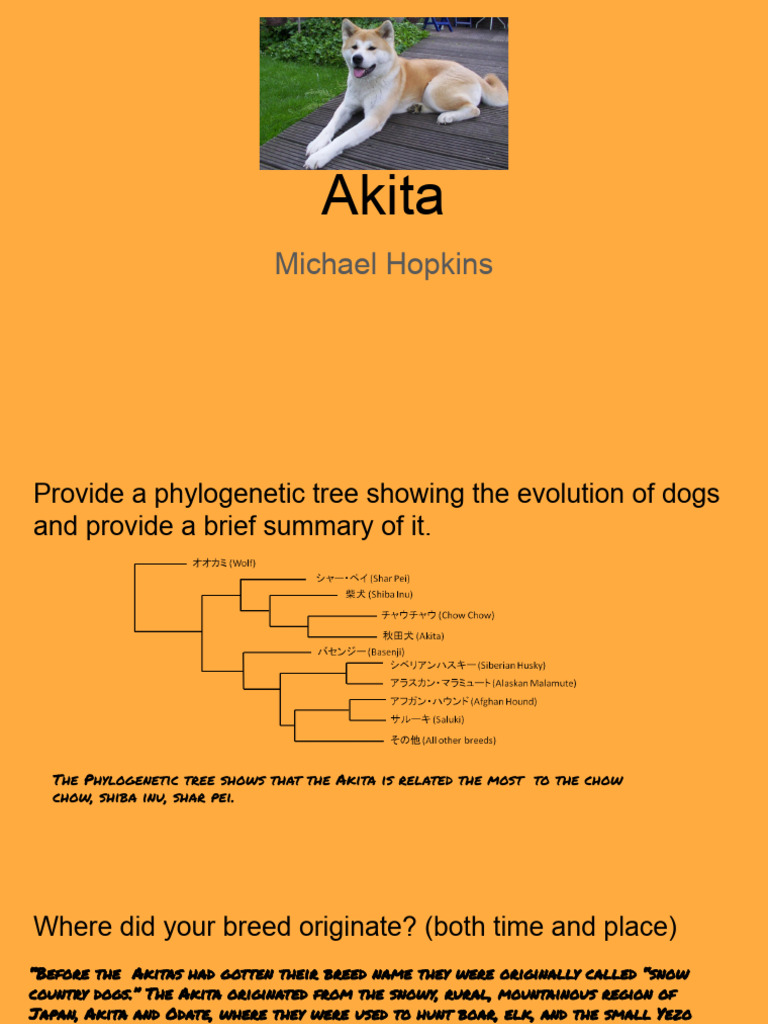 Dog Breed Project | PDF
