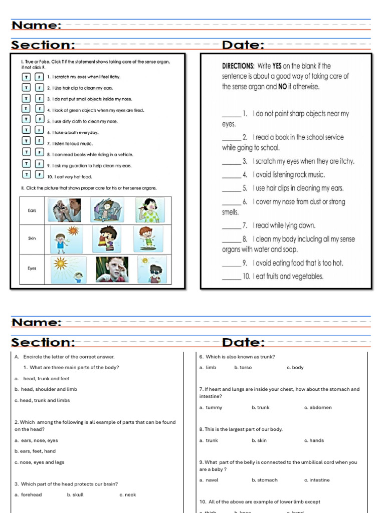 Body Parts and 5 Senses | PDF