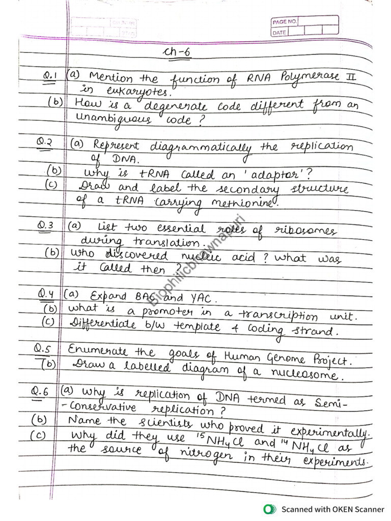 Ch-6 Important Questions - Watermark | PDF