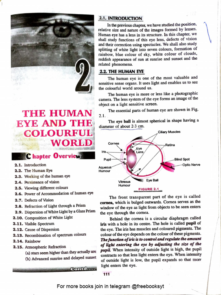 The Human Eye and The Colourful World - Watermark | PDF