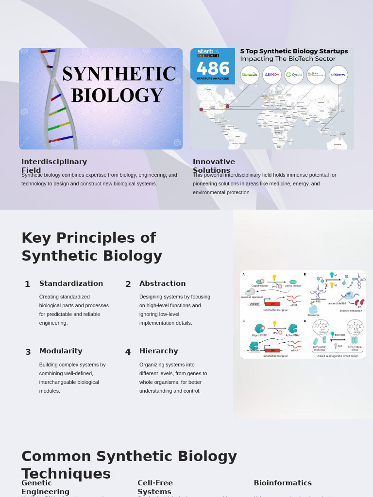 Introduction To Synthetic Biology 3 | PDF