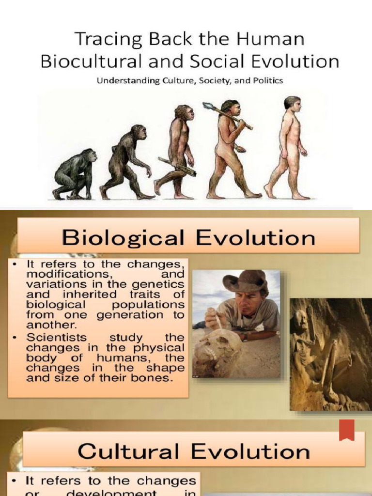 Biological Evolution | PDF