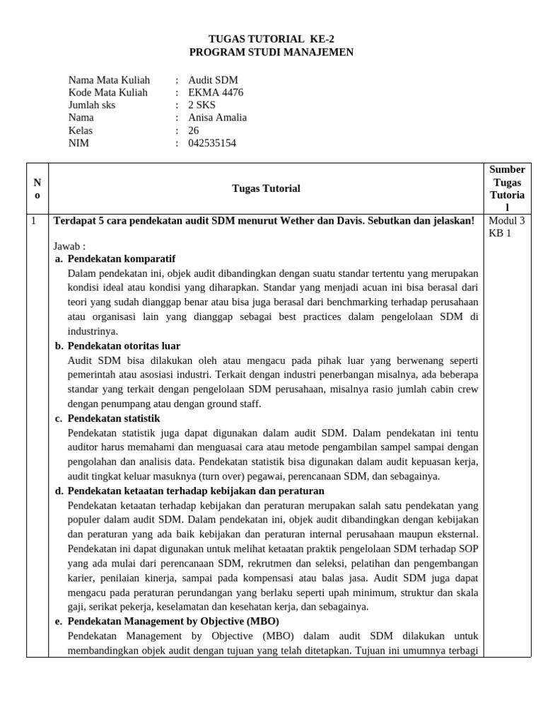 Tugas 2 - Audit SDM - Anisa Amalia | PDF