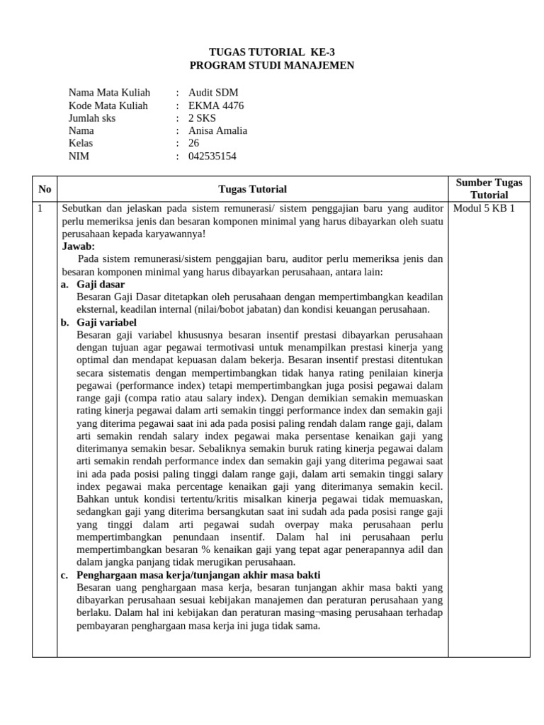 Tugas 3 - Audit SDM - Anisa Amalia | PDF