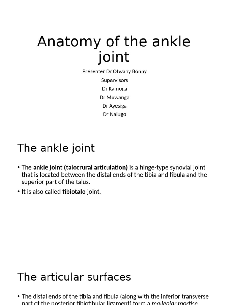 Anatomy of the Ankle Joint Overview | PDF | Ankle | Joints
