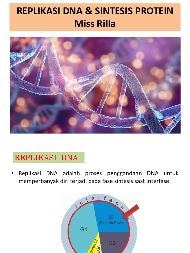 Replikasi Dna & Sintesis Protein | PDF | Dna Replication | Primer ...