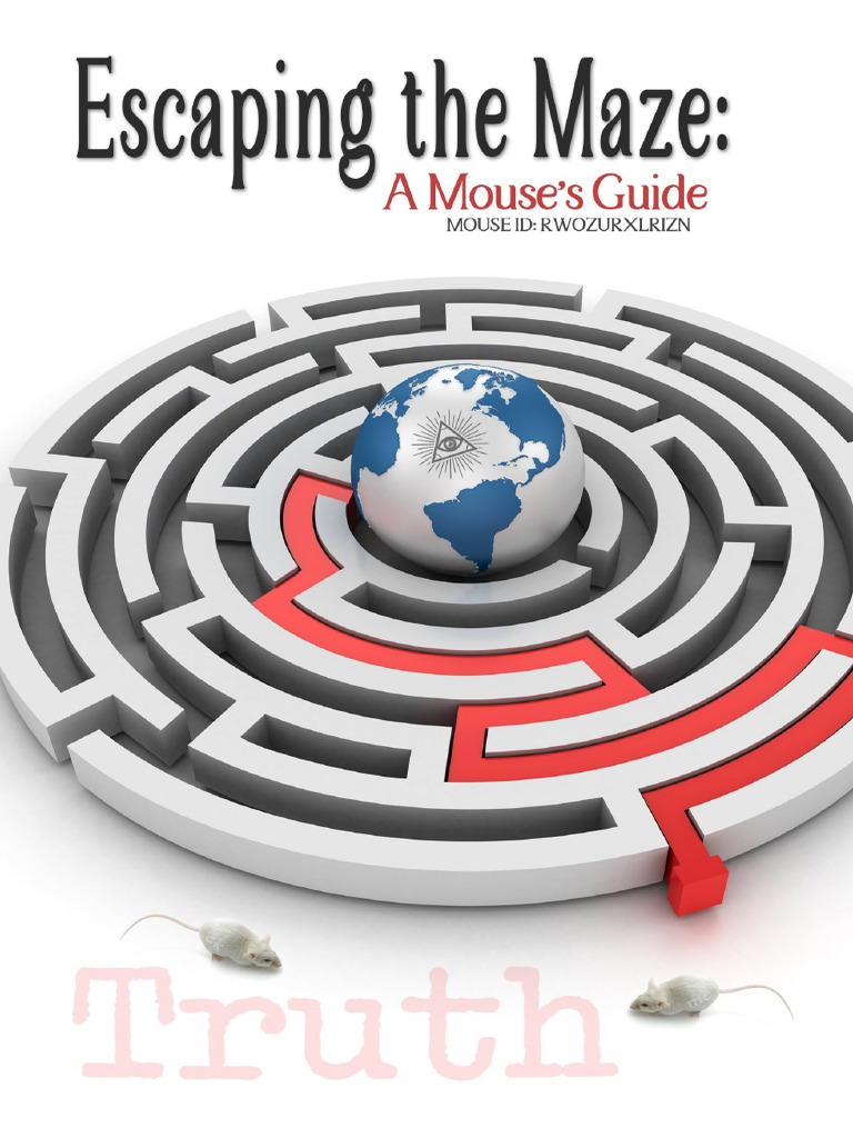 Escaping the Maze: A Journey to Truth | PDF | Universe | Inflation ...
