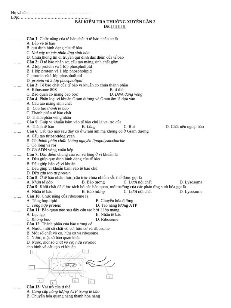 KTCK - 8,9,11 - k10 - GV | PDF