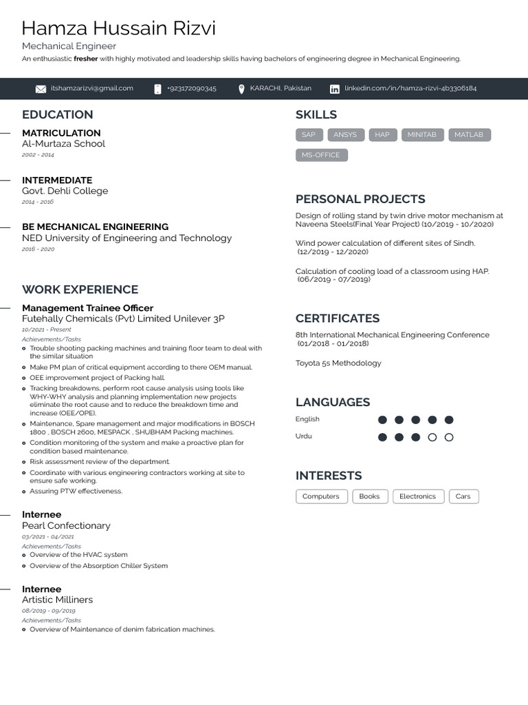 Hamza Resume | PDF