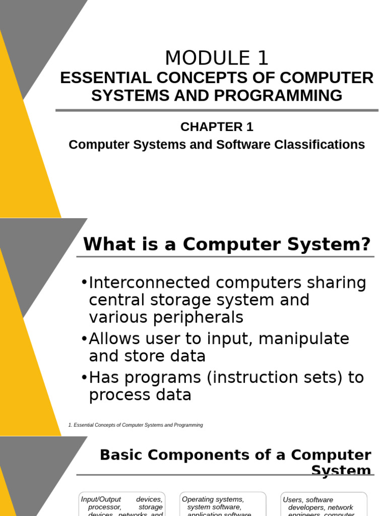 Module 1 - Ch1 - Computer Systems and Software Classifications | PDF | Software | Programming