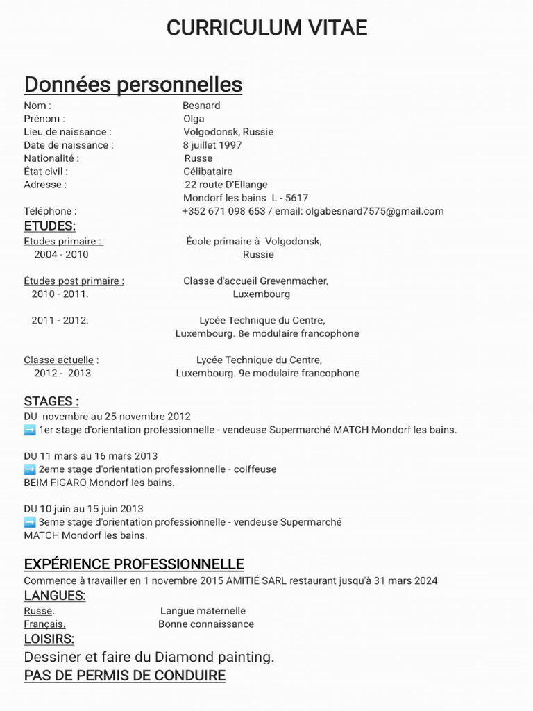 CV Olga | PDF