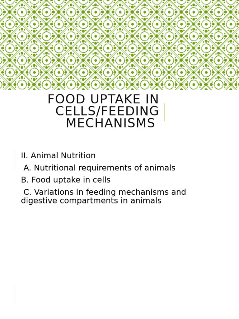 10 2nd Food Uptake in Cells | PDF