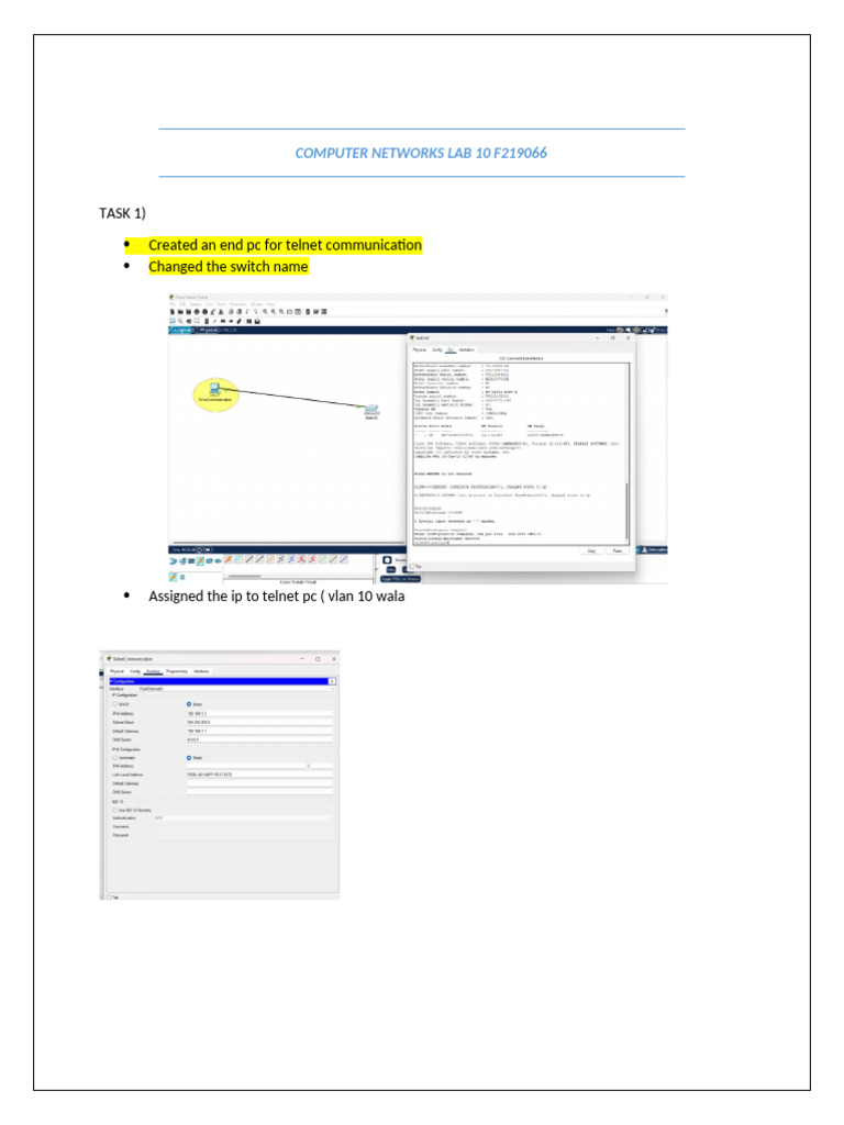 COMPUTER NETWORKS LAB 10 - f219066 | PDF