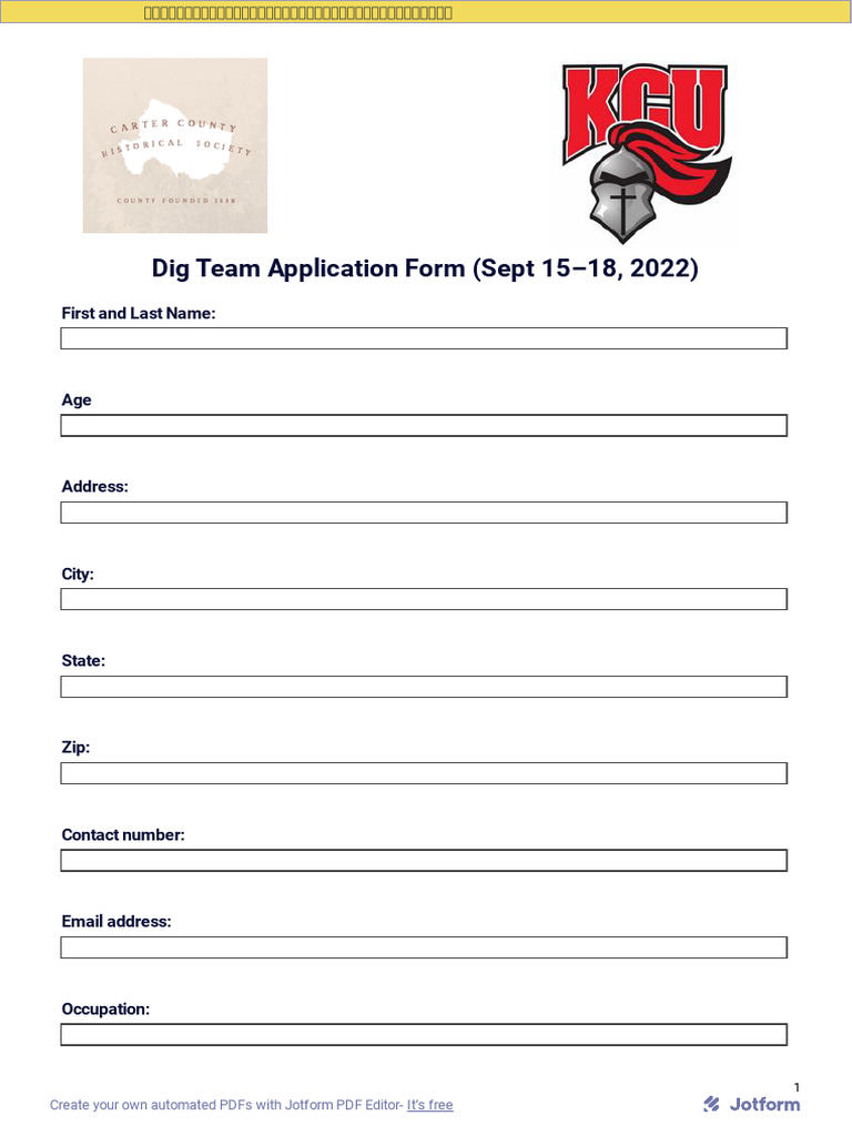 Dig Team Application Form | PDF