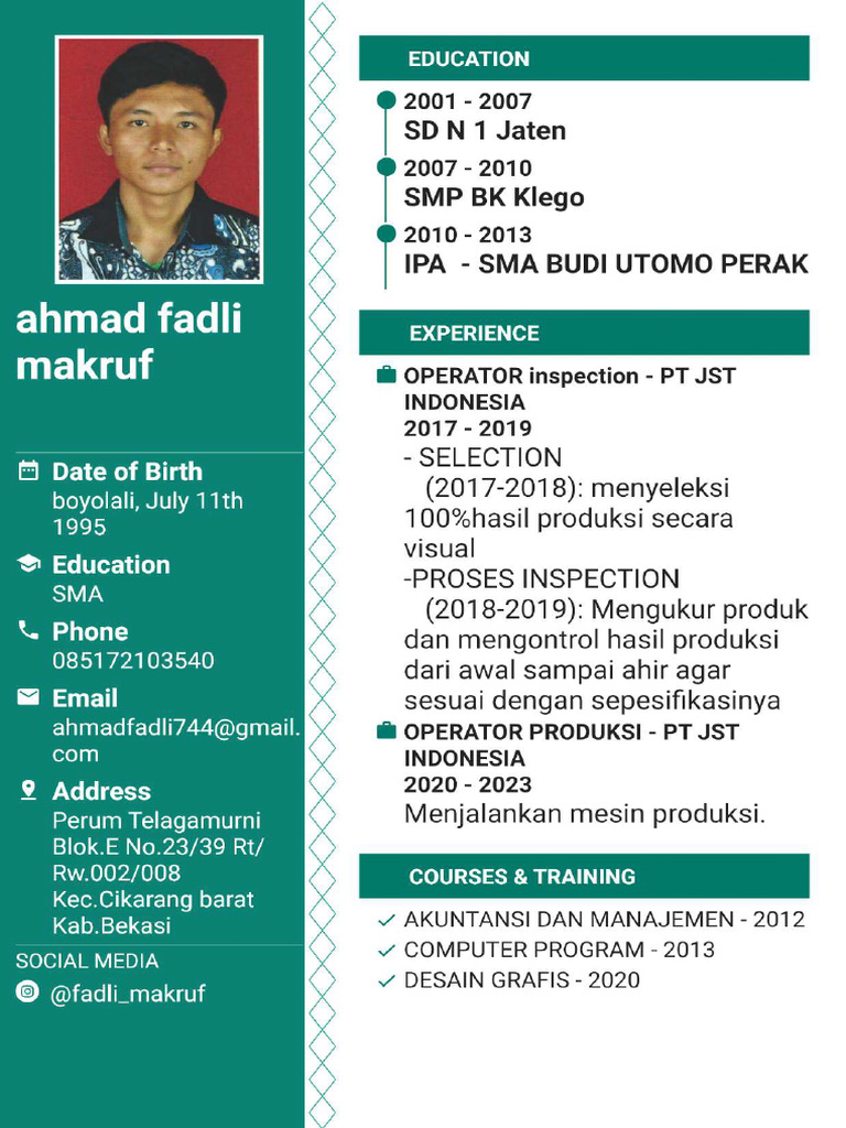 CV Ahmad Fadli | PDF