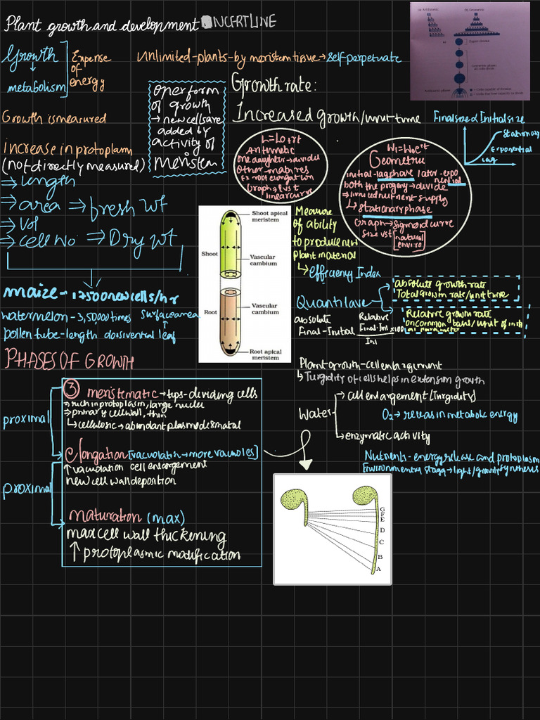 Create New Note | PDF