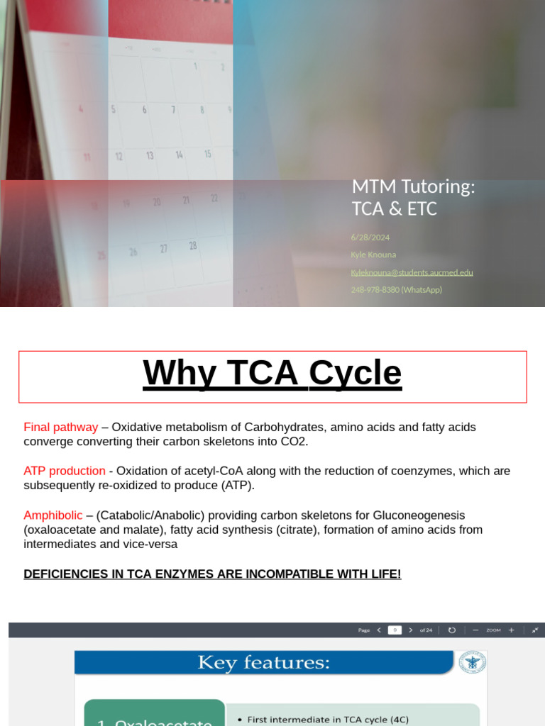 TCA + ETC Tutoring 3 | PDF