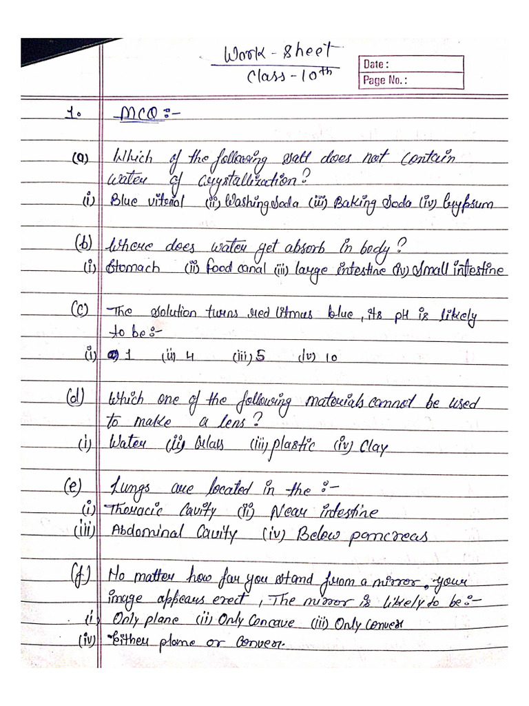 Class 10 Worksheet | PDF