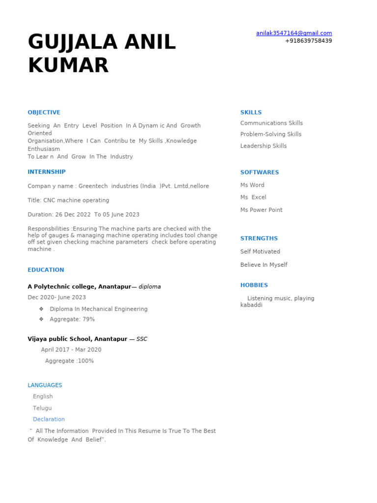 Resume Formate | PDF